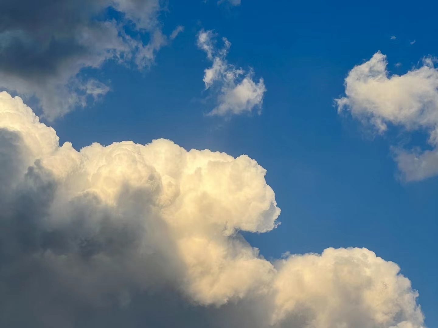 战队招募 - 第 157 页 - VeryApex