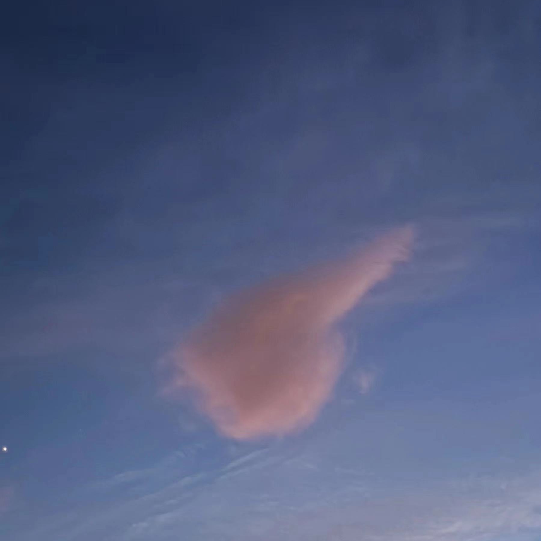 牛至云 - VeryApex